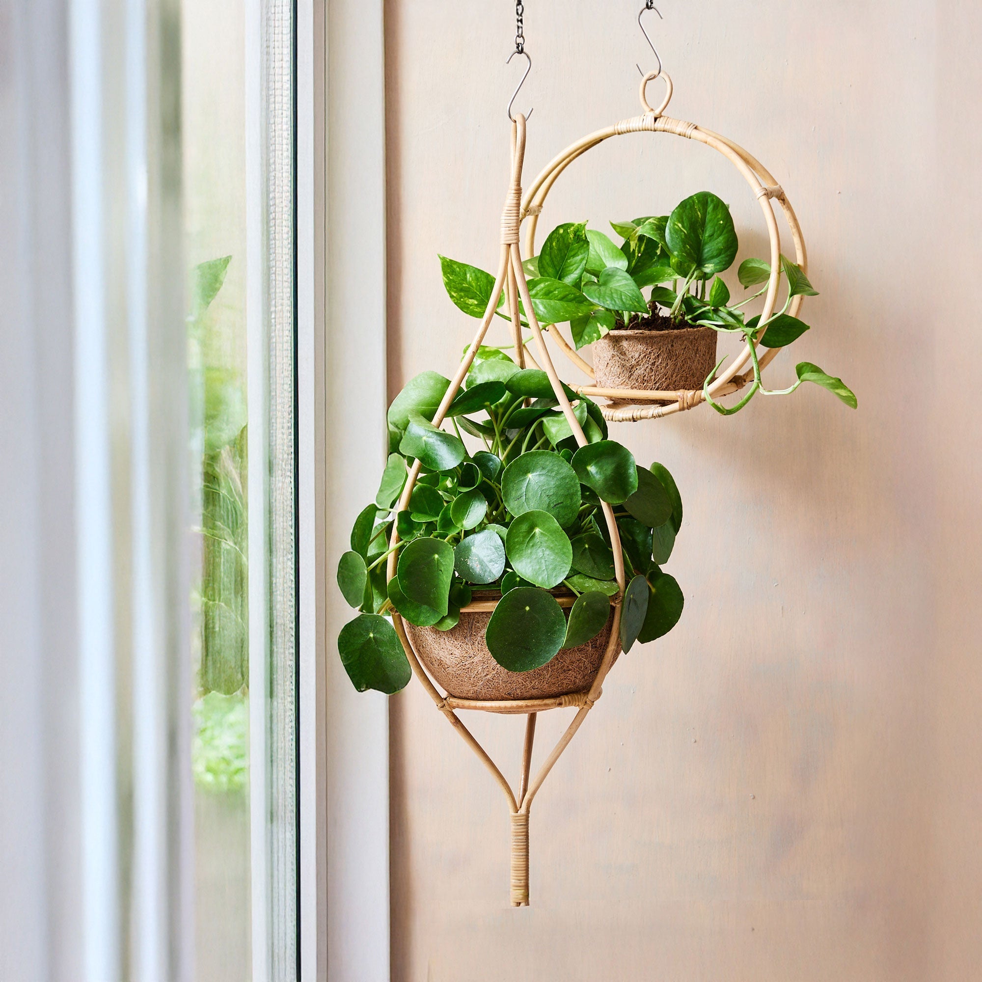 Indoor Plant Pots & Hanging Planters – DHOME